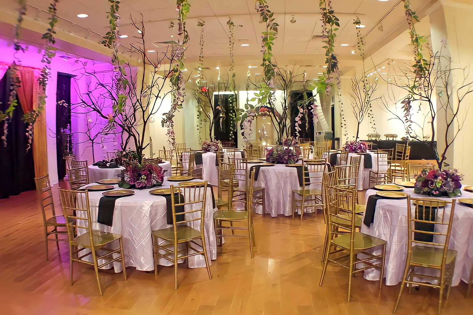 Gallery - The Lair Venue