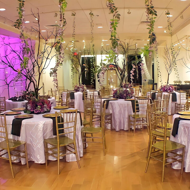 Gallery - The Lair Venue